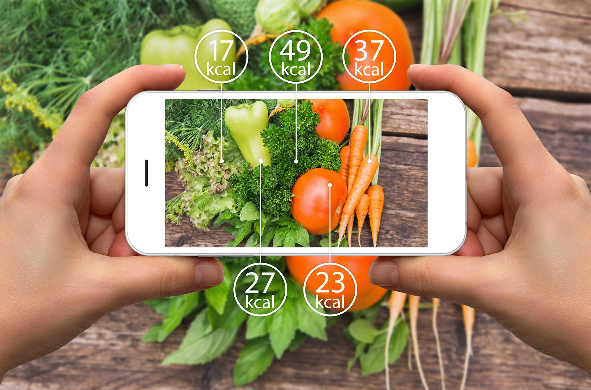 The Complete Guide on How to Track Your Calories and Macros - Austin ...